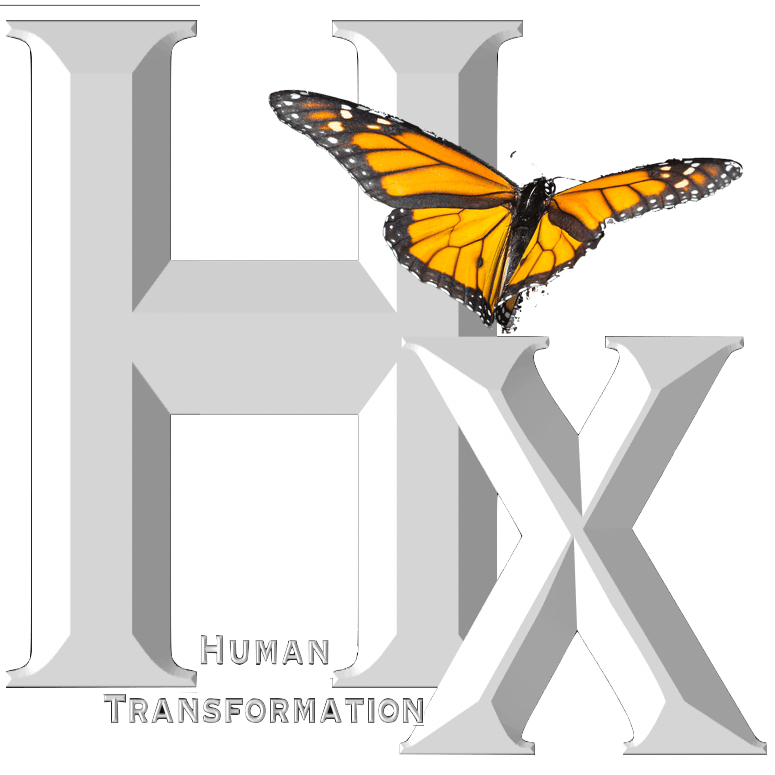 Human Transformation – Human Transformation in The Age of Digital ...